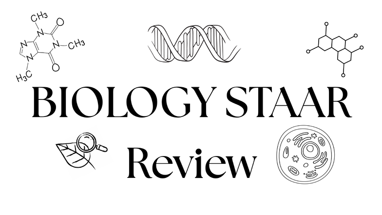 Biology STAAR Review: Cell Function & Genetics Overview - Studocu