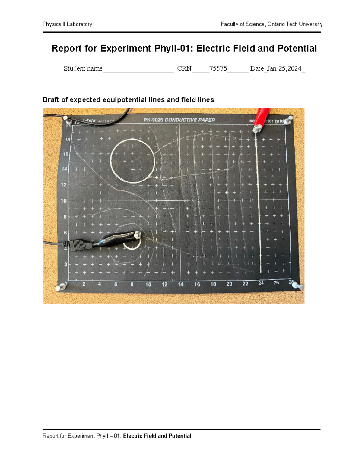 Physics II Lab Report: Experiment PhyII-01 on Electric Field ...