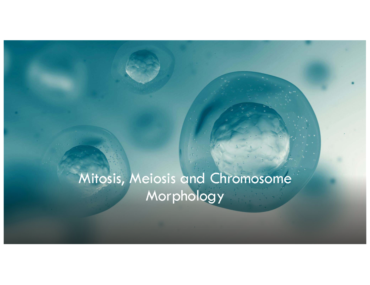 Mitosis and Meiosis: Cell Division Processes - Cyto 101 - Studocu