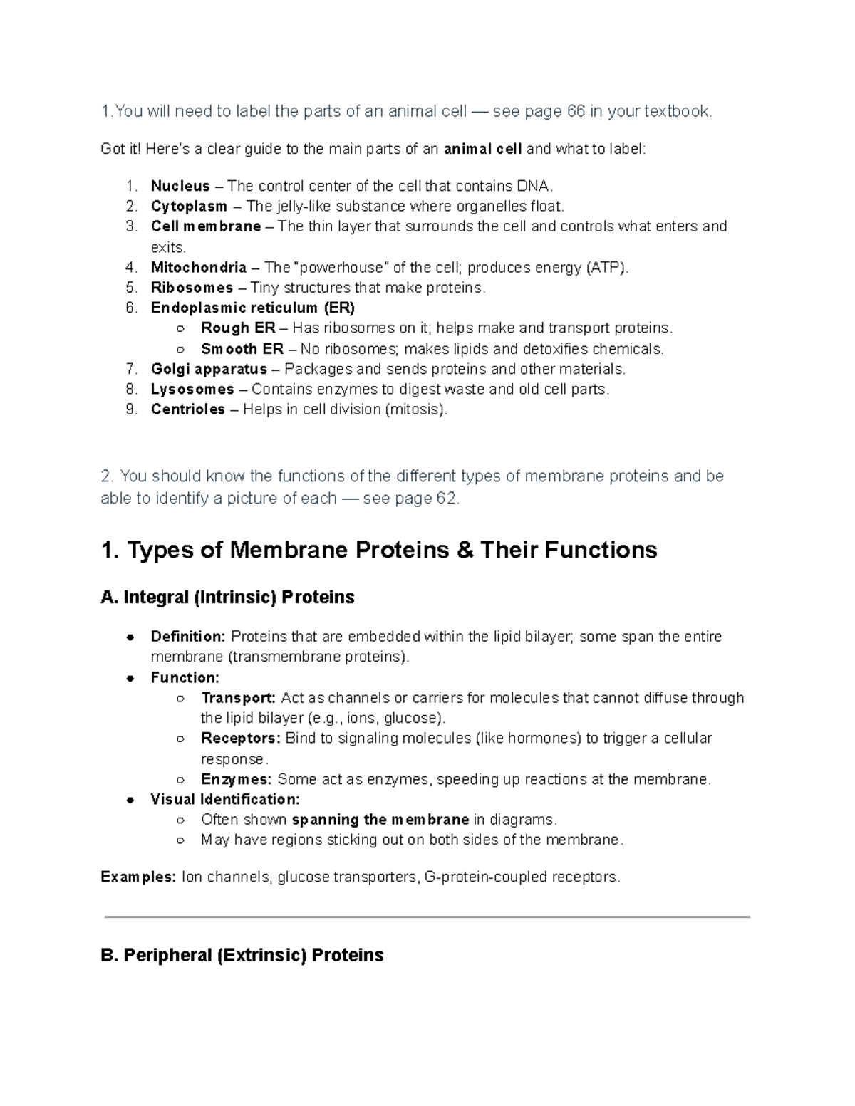 Cell Structure & Function Overview: Bacterial & Animal Cells - Studocu