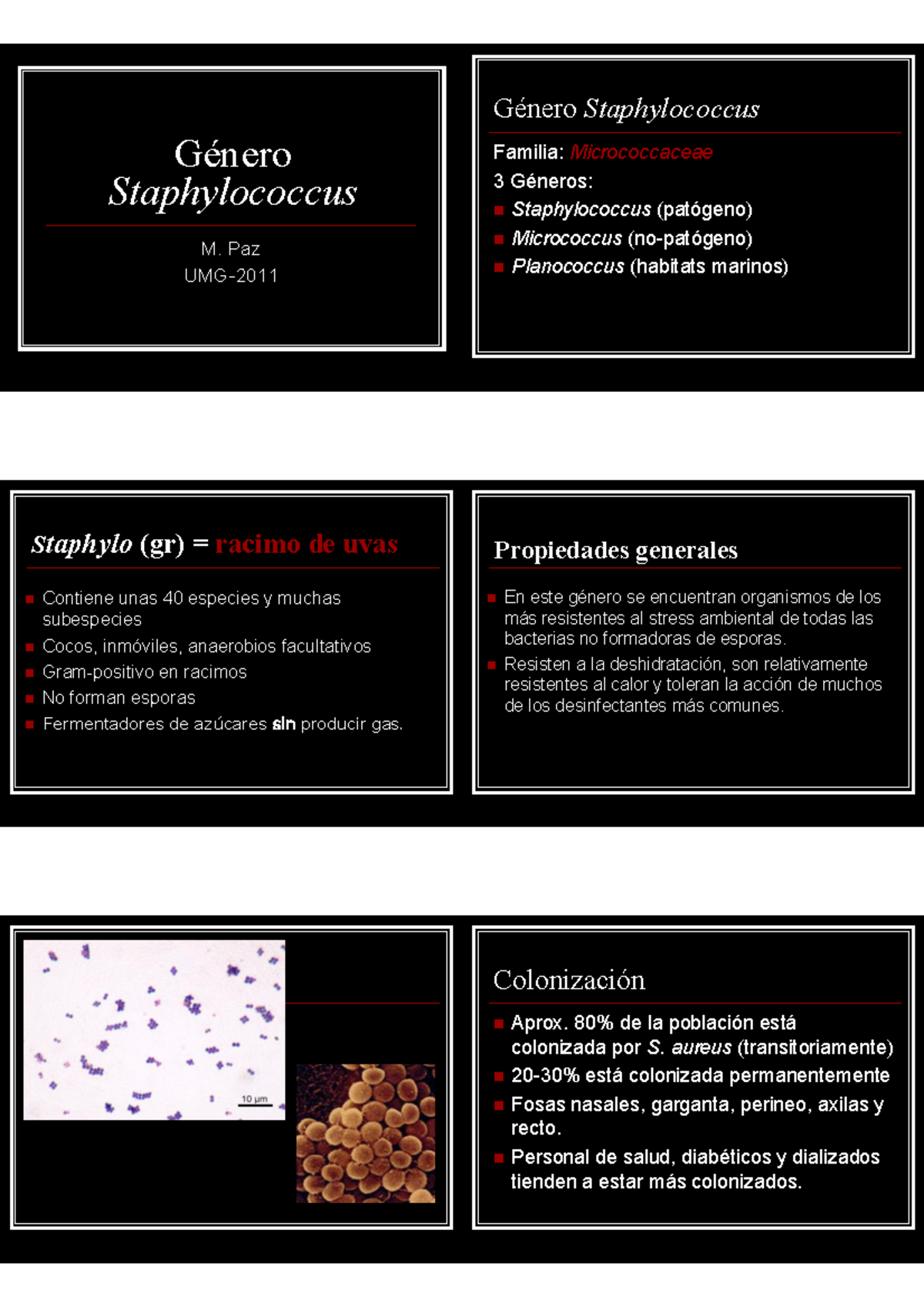 C 5 Género Staphylococcus: Patogenicidad y Tratamiento de Infecciones - Studocu
