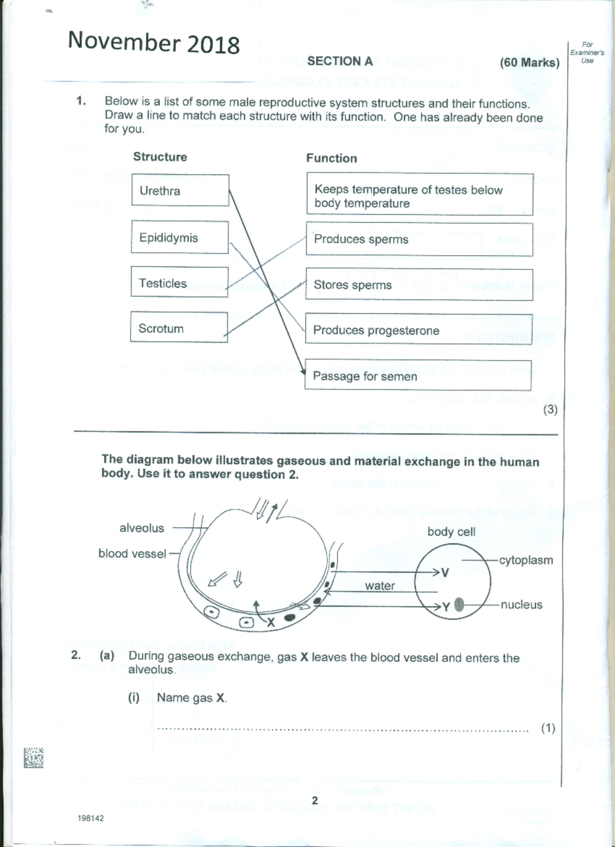 2018 exam - JCE Science Practice Material - November 2018 For SECTION A ...