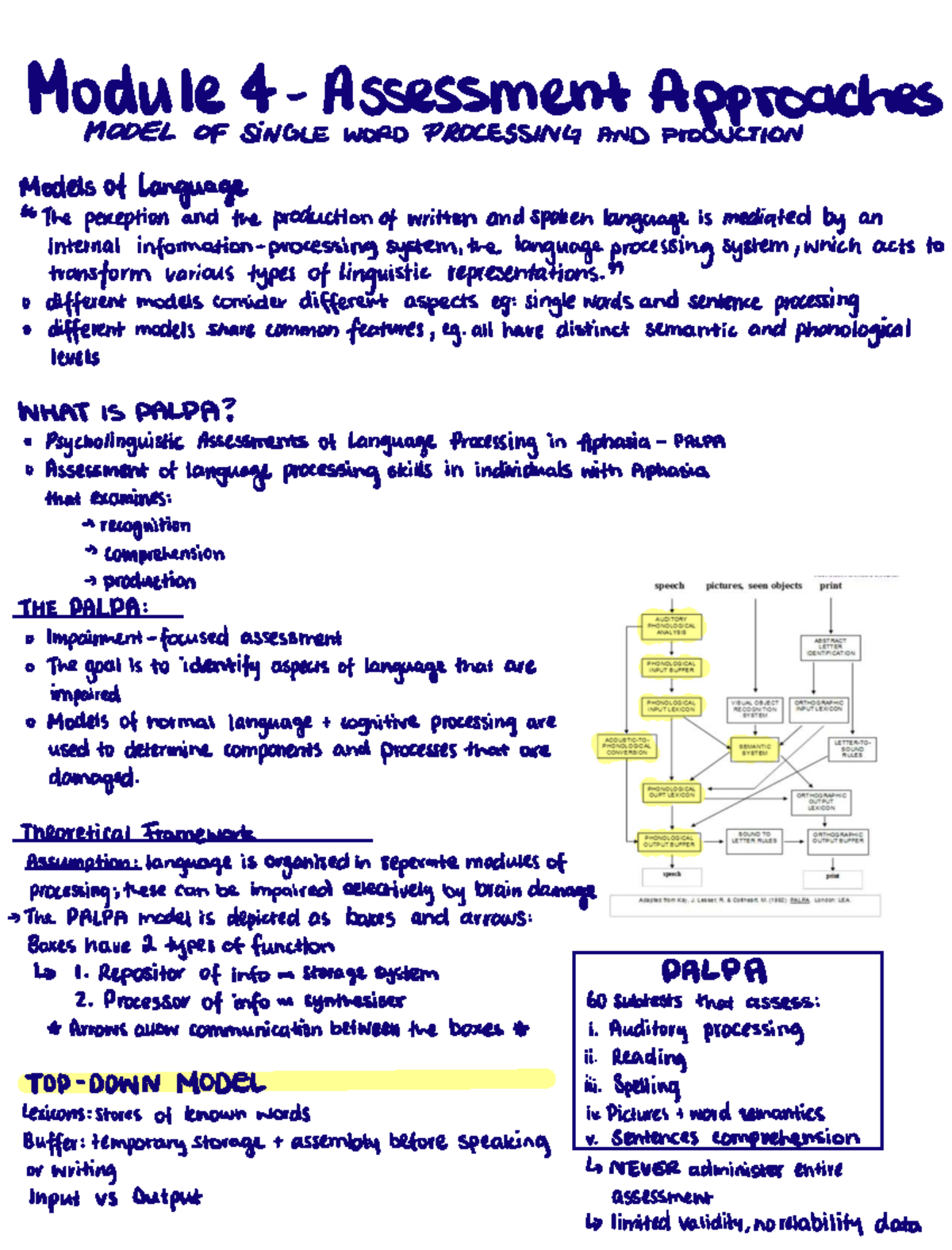 Module 4 Assessment Approaches: Single Word Processing & Production ...