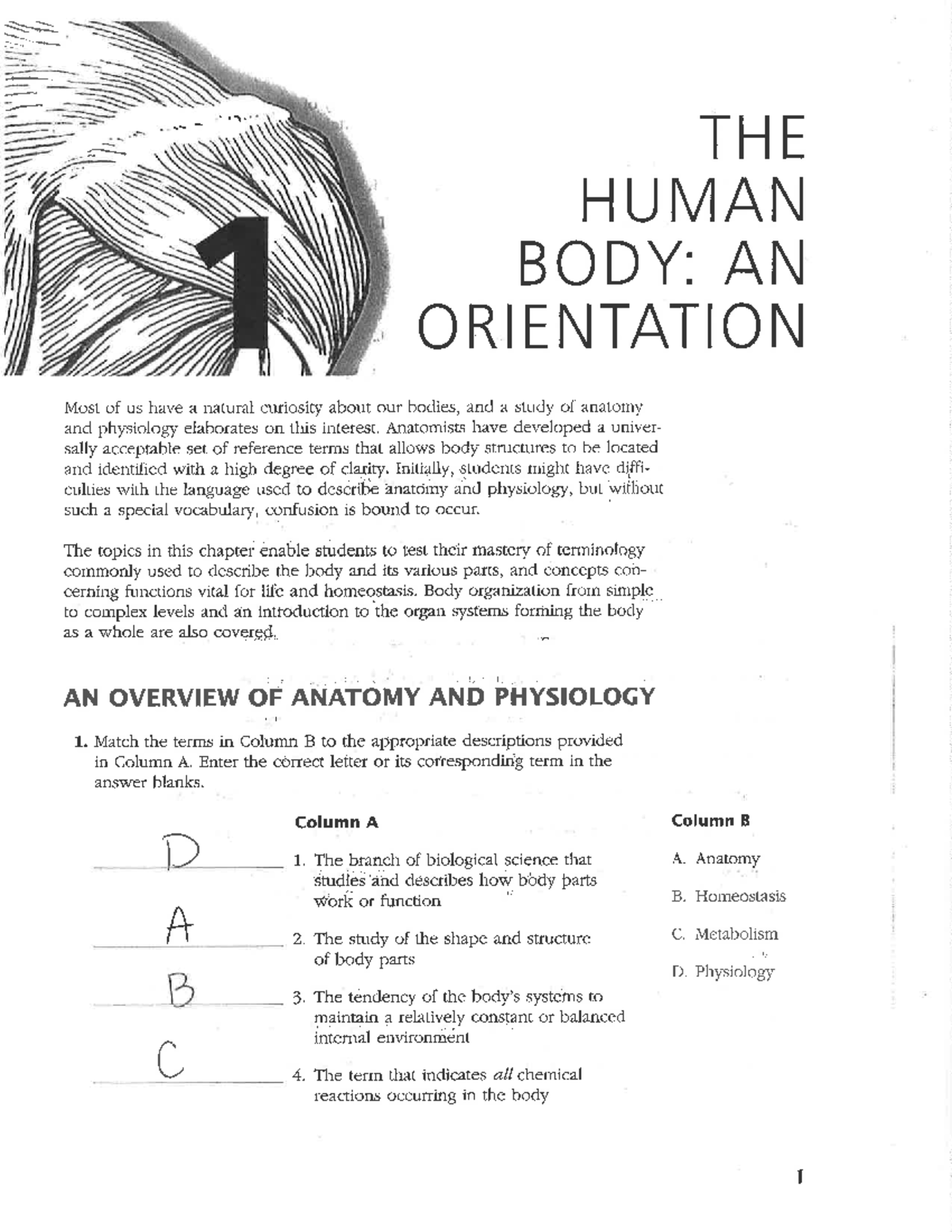 Human Body Orientation Quiz - Anatomy & Physiology Basics - Studocu