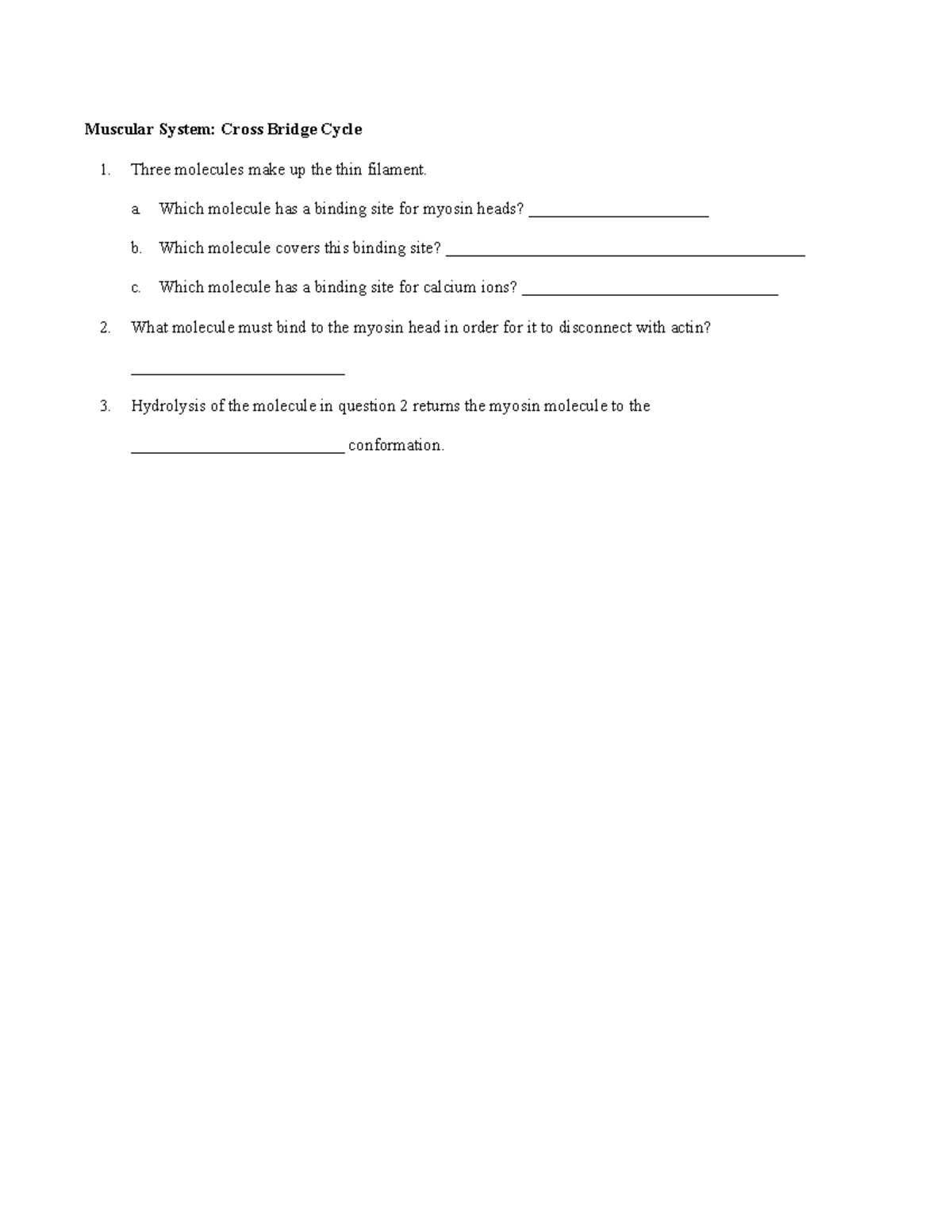Worksheet muscular cross bridge cycle - Muscular System: Cross Bridge ...