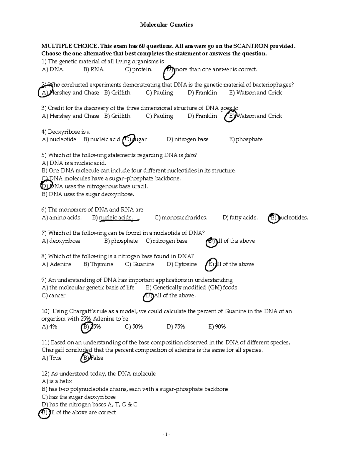 Molecular Genetics Practice Test Answers - Molecular Genetics - 1 ...