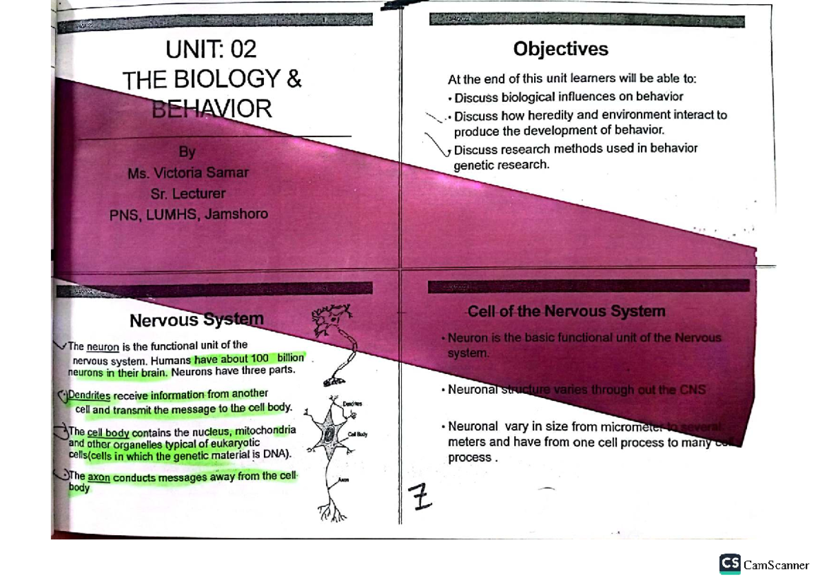 B. Psy Unit 02 - MCQs on Biological Influences and Behavior - Studocu