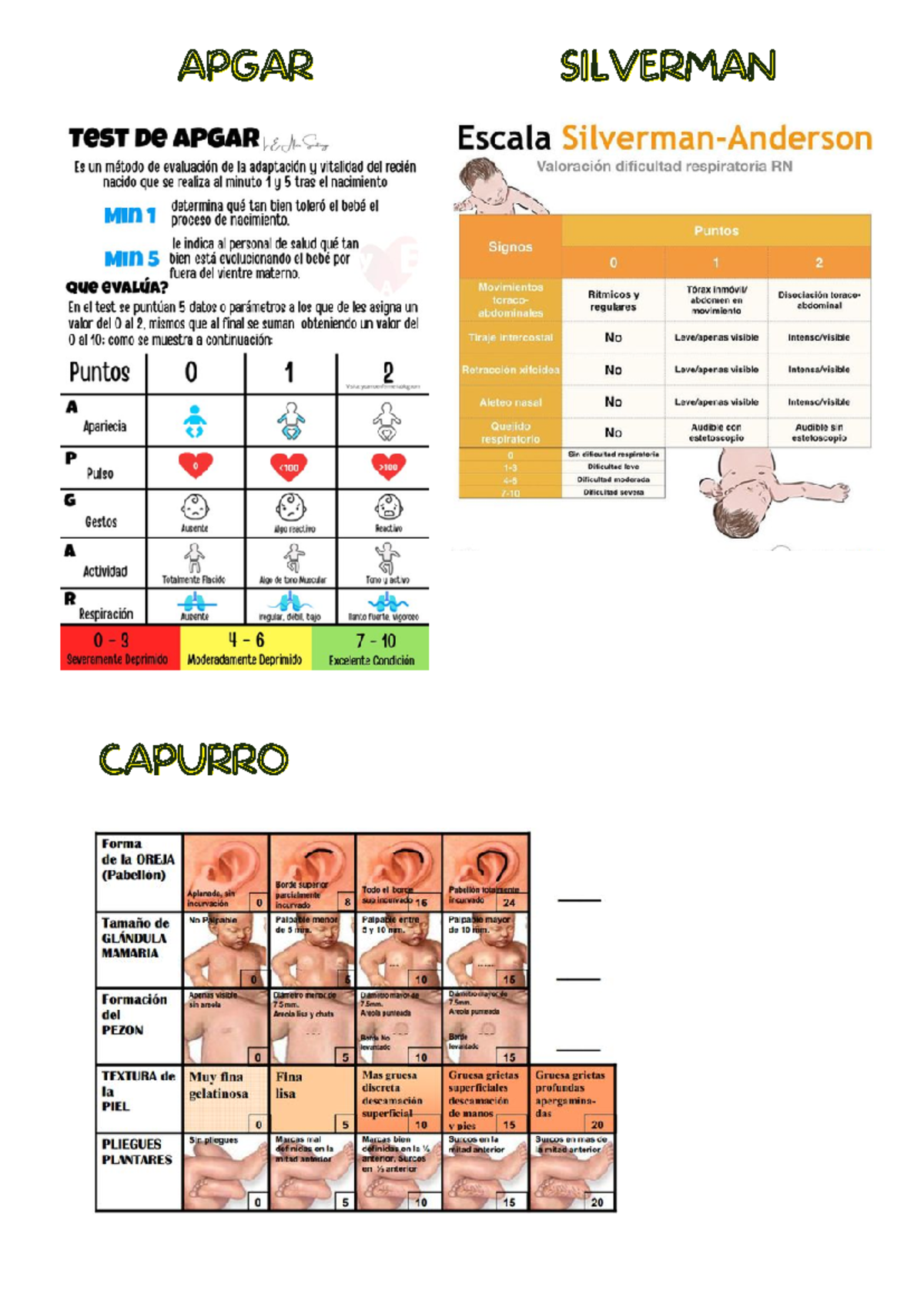 Apgar, Capurro, Silverman - APGAR SILVERMAN TEST DE APGAR LEN Escala Es ...