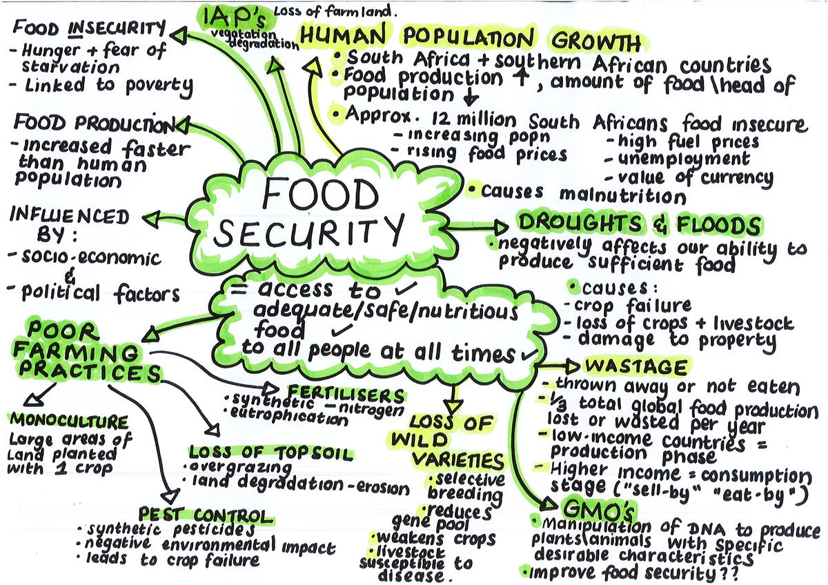 FOOD Security Mind Map (MIND MAP-22102018) - Studocu