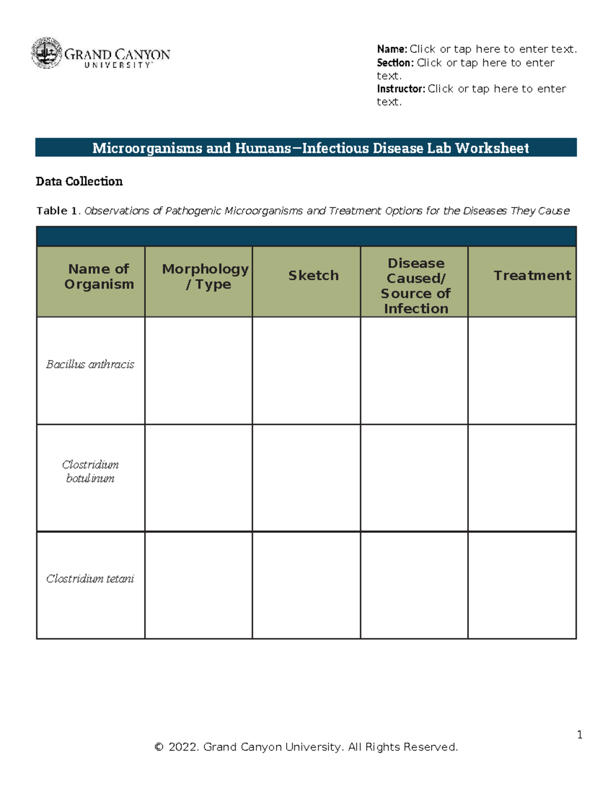 BIO 205L RS Microorganisms and Disease Lab Worksheet - Studocu
