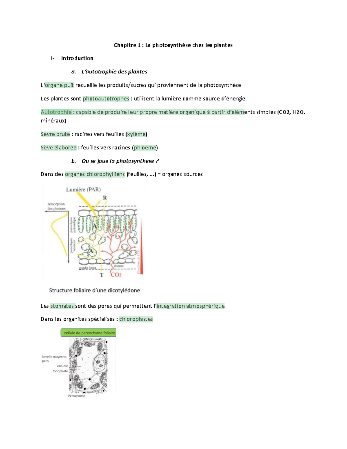 Physio Végé - Chapitre 1 : Notes sur la Photosynthèse des Plantes - Studocu