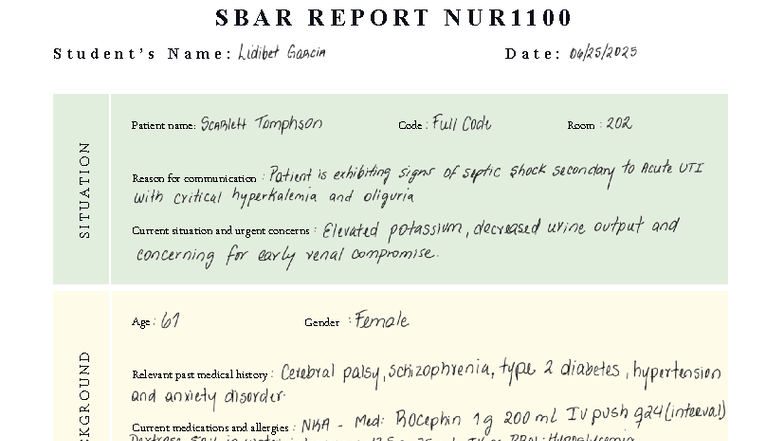 Sbar Report-Template - SBAR assigned - S B A R R E P O R T N U R 1 1 0 ...