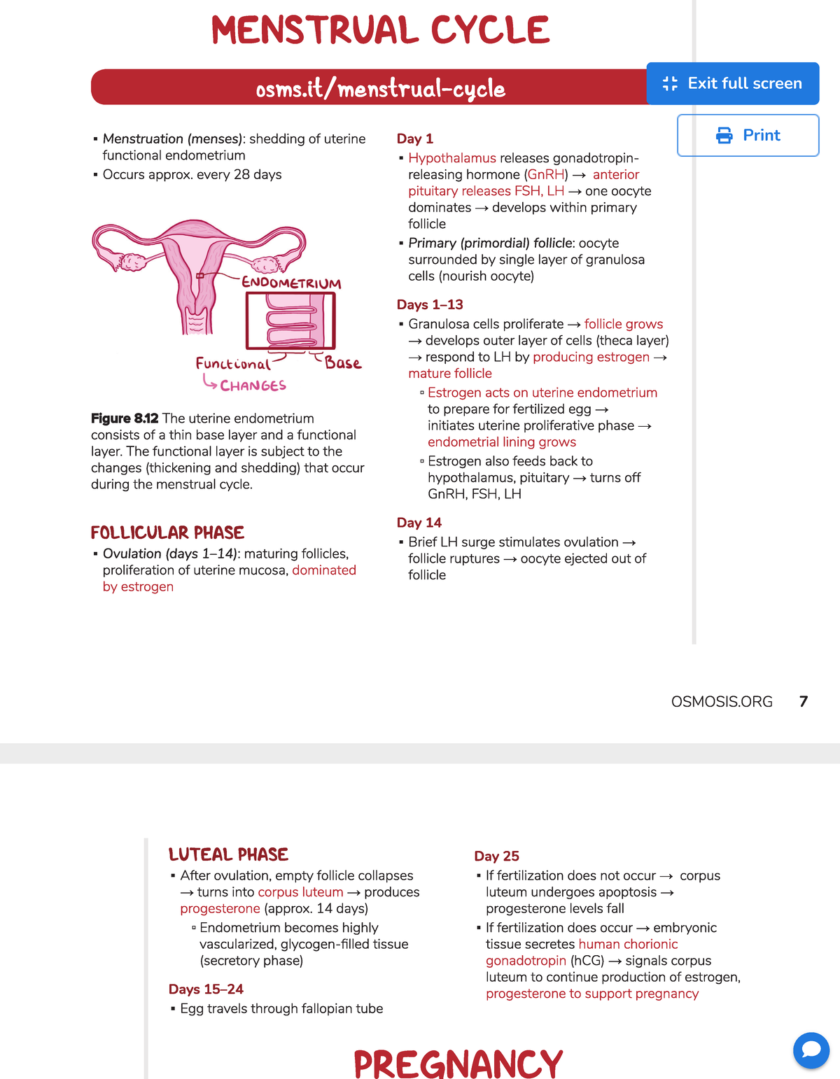 Female Reproductive System: Notes & Diagrams on Osmosis - Studocu