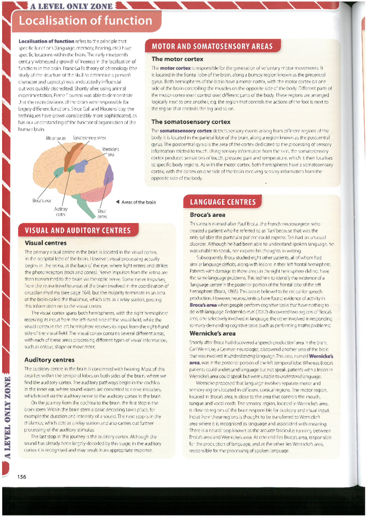 Biopsychology A Level Study Guide: Key Concepts Part 1 - Studocu