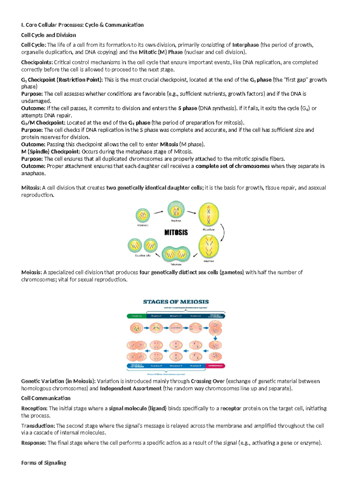 BIO 101 Final Exam Review: Core Cellular Processes and Genetics - Studocu