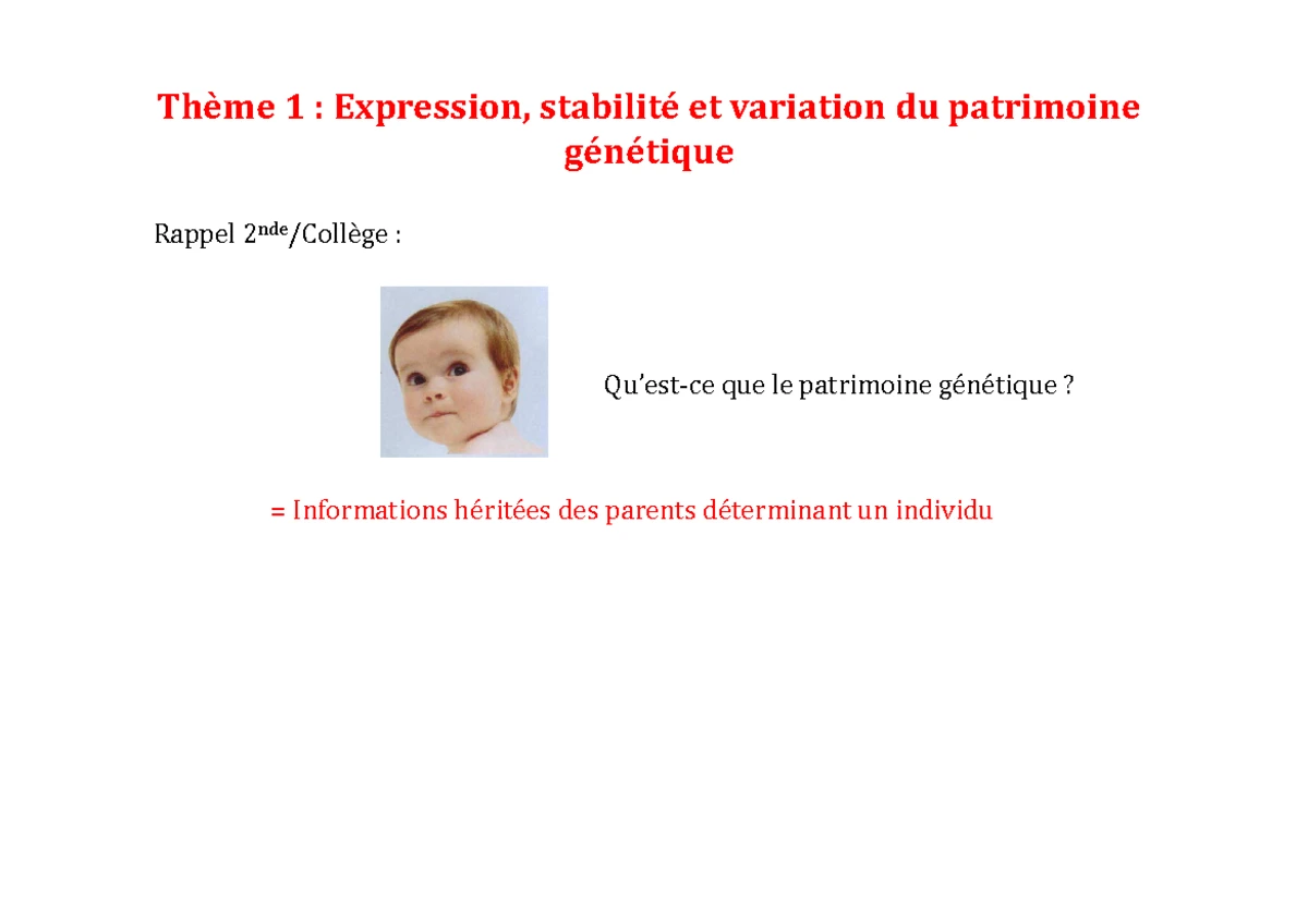Tp 1 observation microscopique de coupes transversales d ovaire d ...