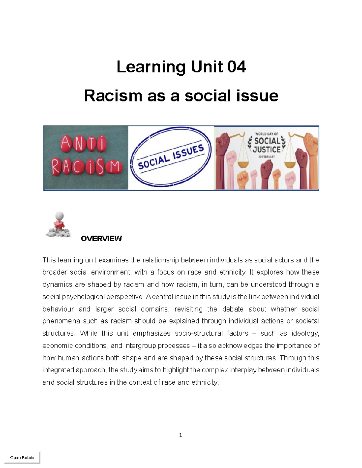 Learning Unit 04: Racism as a Social Issue - Studocu