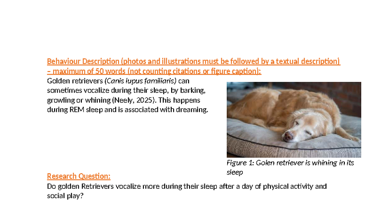 Individual Assignment: Vocalization in Golden Retrievers During Sleep ...