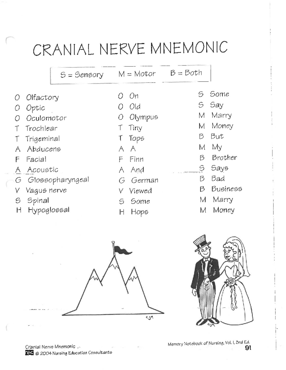 Cranial Nerve Mnemonic Handout for Nursing Education (Vol. I) - Studocu