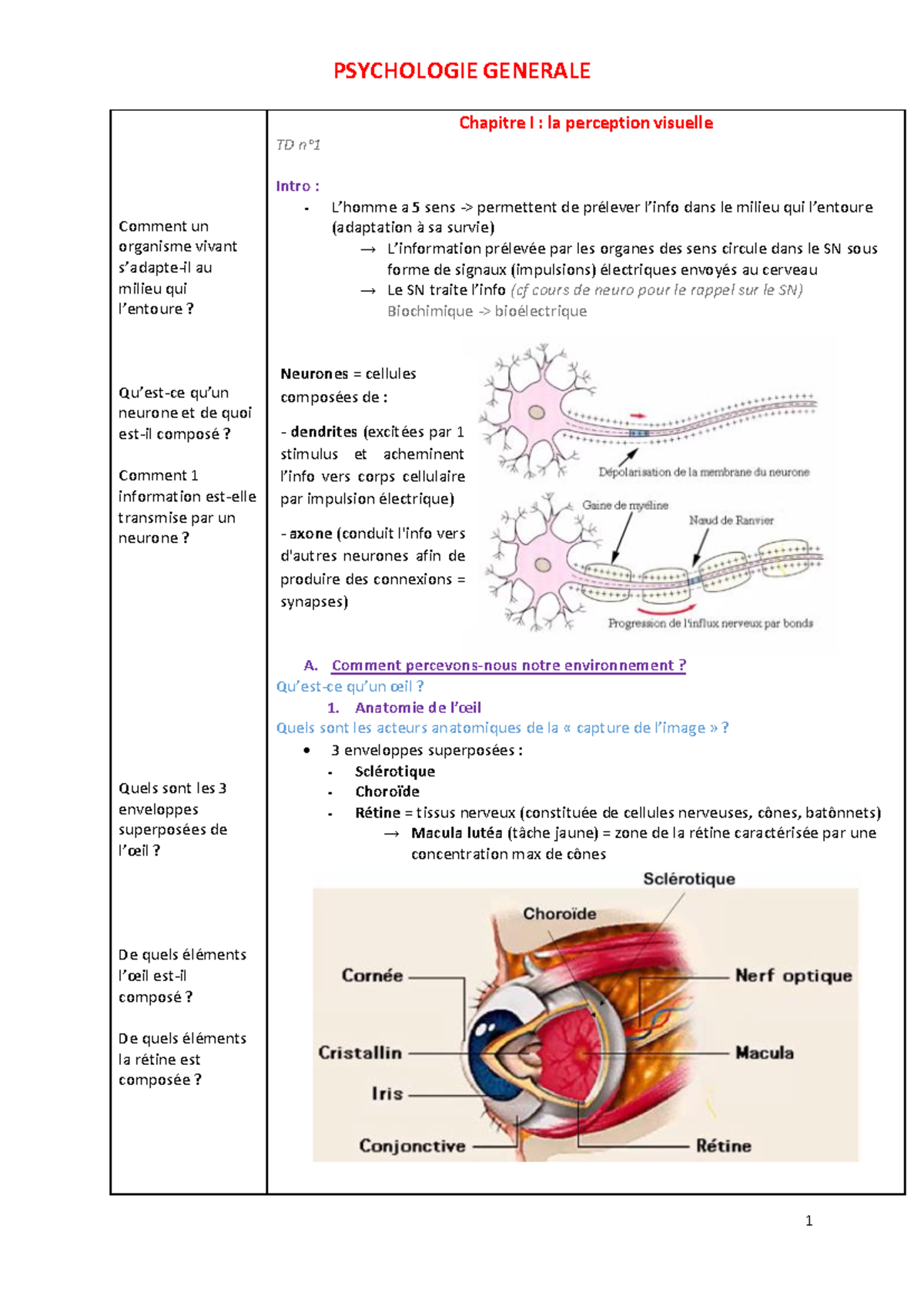 PSYCHOLOGIE GENERALE Chapitre I : La Perception Visuelle et ses ...