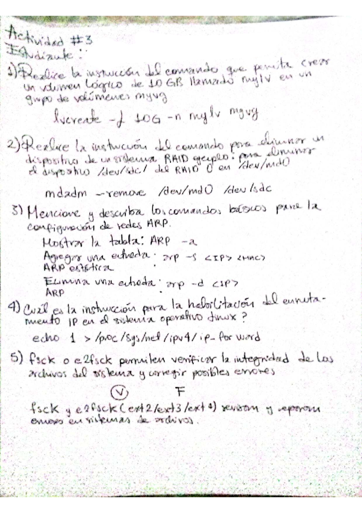 Actividad 3: Comandos y Ejecución en Linux - Curso de Sistemas - Studocu