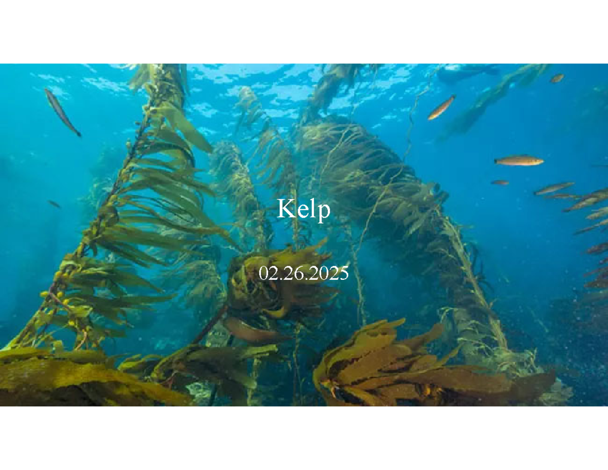 Disturbing Kelp Forest Food Webs: Impacts of Otters and Storm Patterns ...