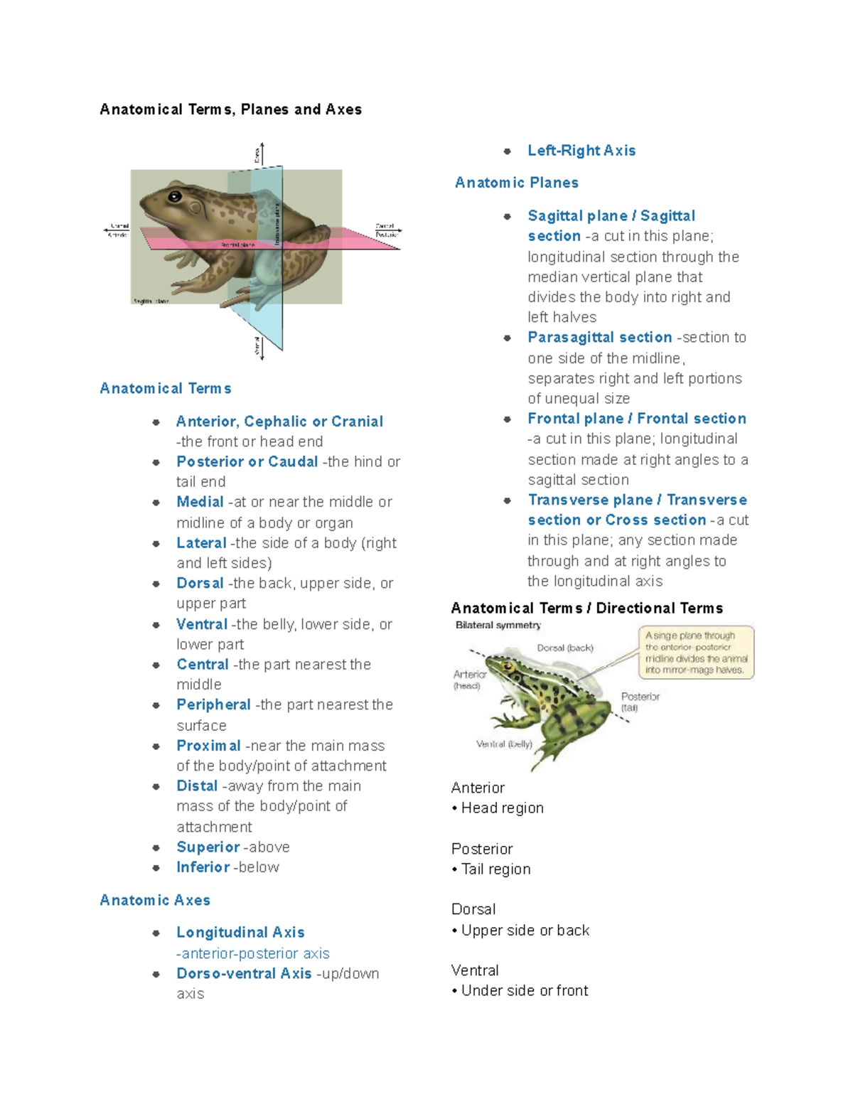 Anatomy of a Frog: Key Terms, Planes & Axes Explained - Studocu