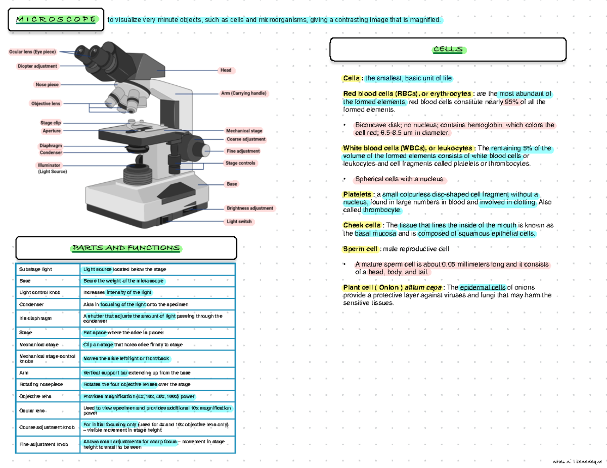 Microscopy & Cells - …….. - M I C R O S C O P E to visualize very ...