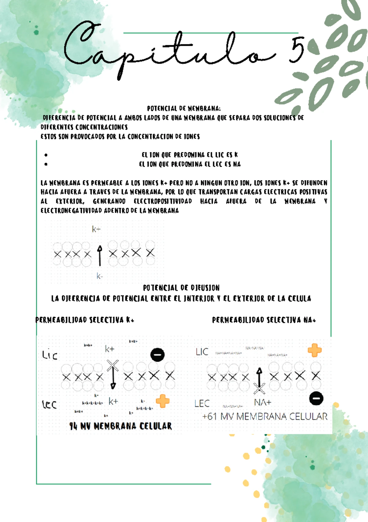 Resumen: Capítulo 6-Contraccion Muscular (Guyton) - Capitulo 6: Contracción del músculo ...
