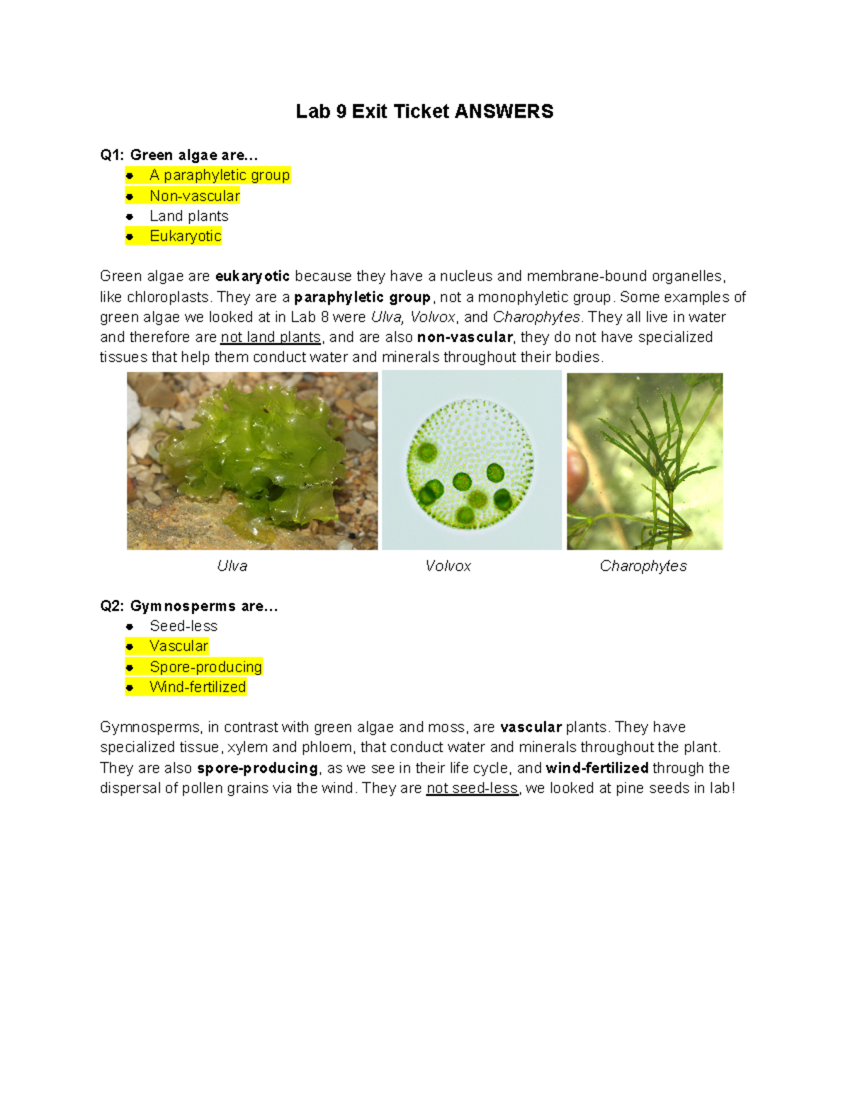 Lab 9 Exit Ticket Answers - Practice Lab Review Summary - Studocu