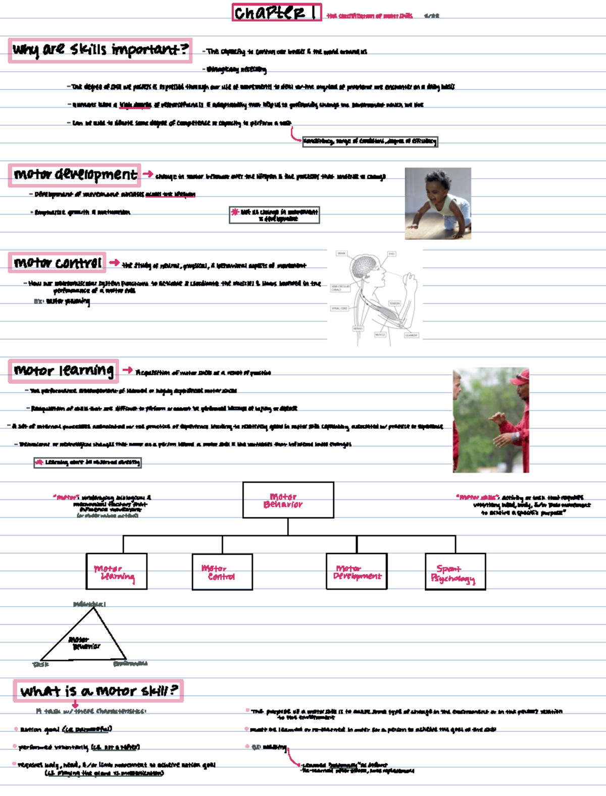 Chapter 1 the classification of motor skills - Chapter I the ...