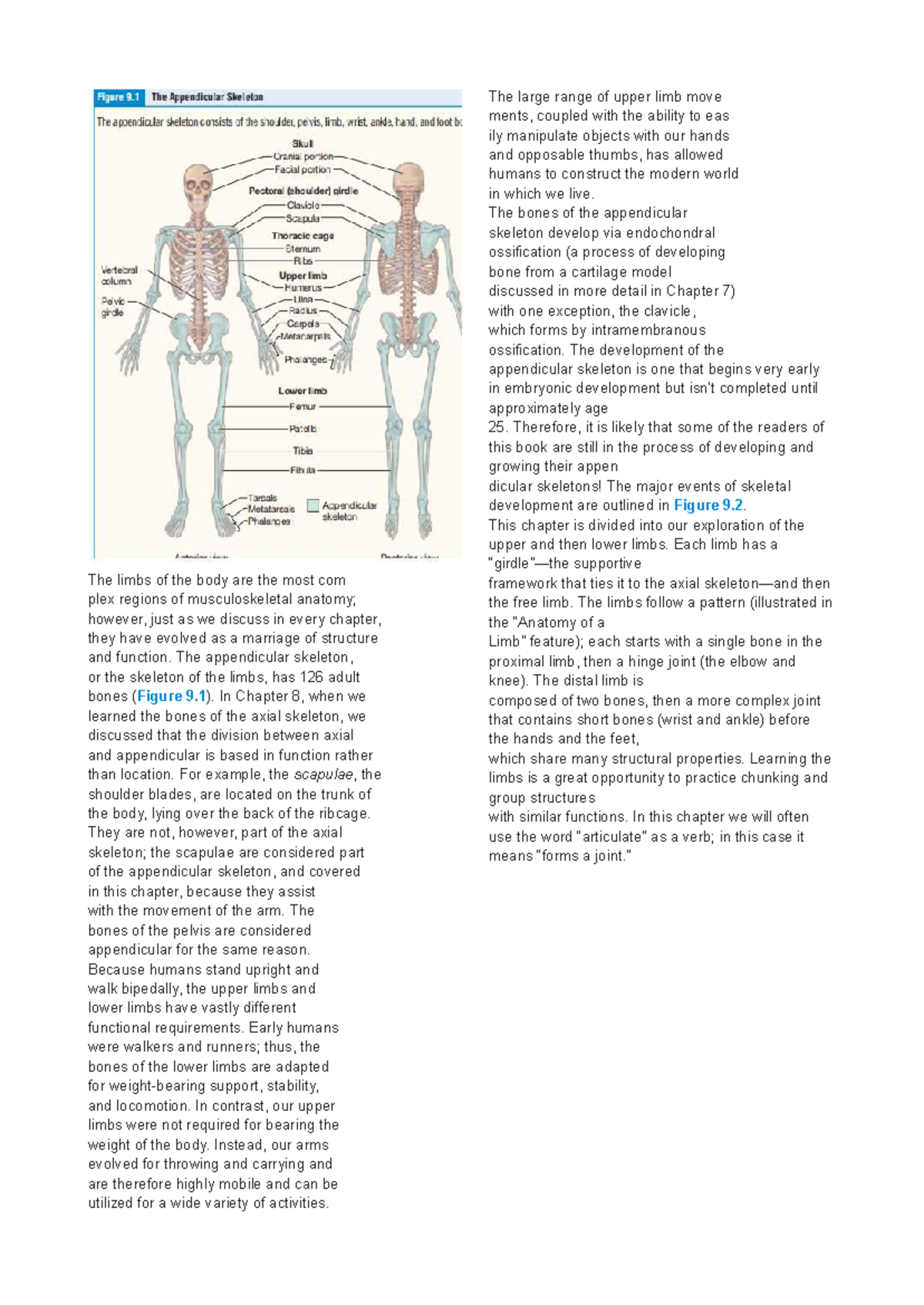 Appendicular Skeleton Overview: Structure & Function in Human Limbs ...