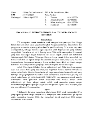 Opera Gelembung Sabun - 1 Nama : Nur Aulia Rezky Arifin Asisten PJ ...