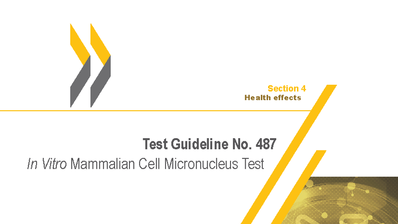 Guía de Conteo de Micronúcleos - OECD TG 487 (In Vitro) - Studocu