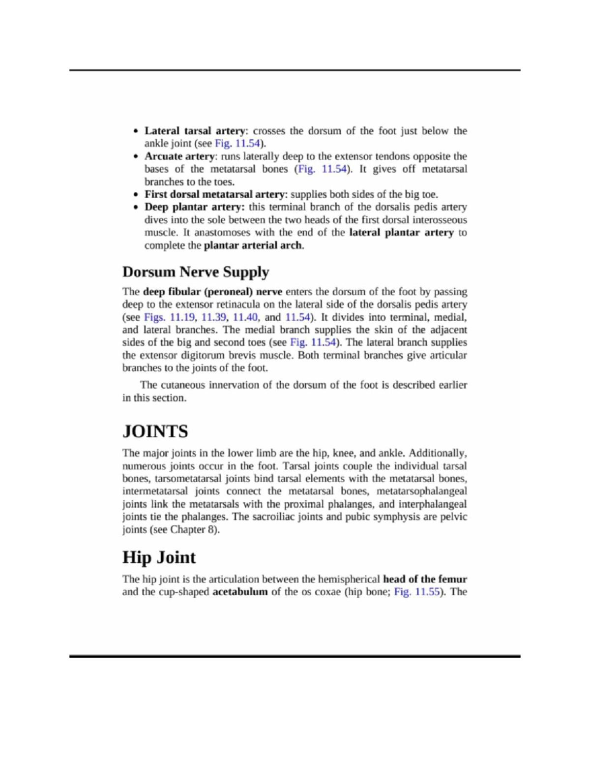 Lateral Tarsal and Hip Joint Anatomy: A Comprehensive Overview (ANAT 101) - Studocu
