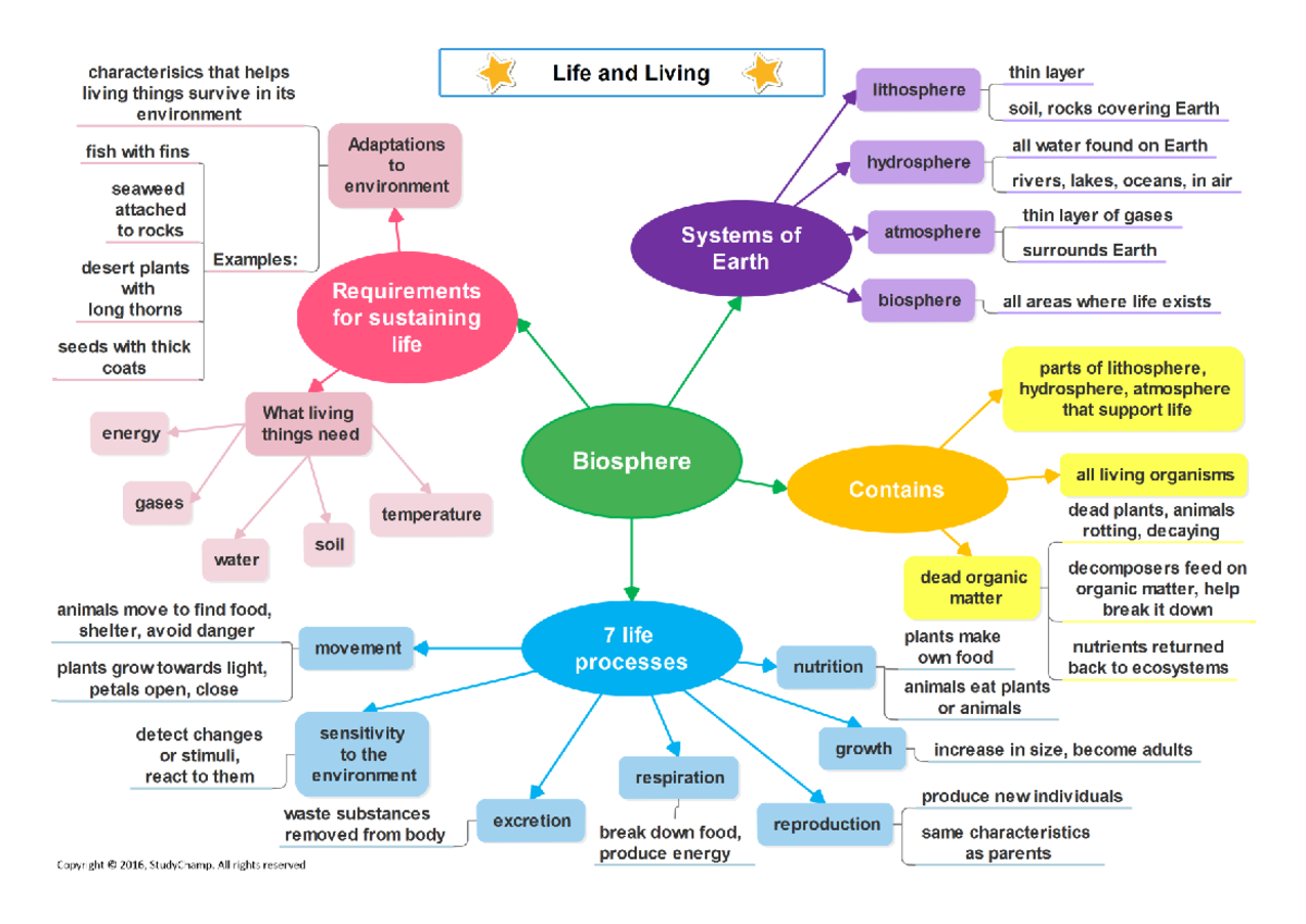 Gr7 NS: Biosphere & Biodiversity Summary Notes - Studocu
