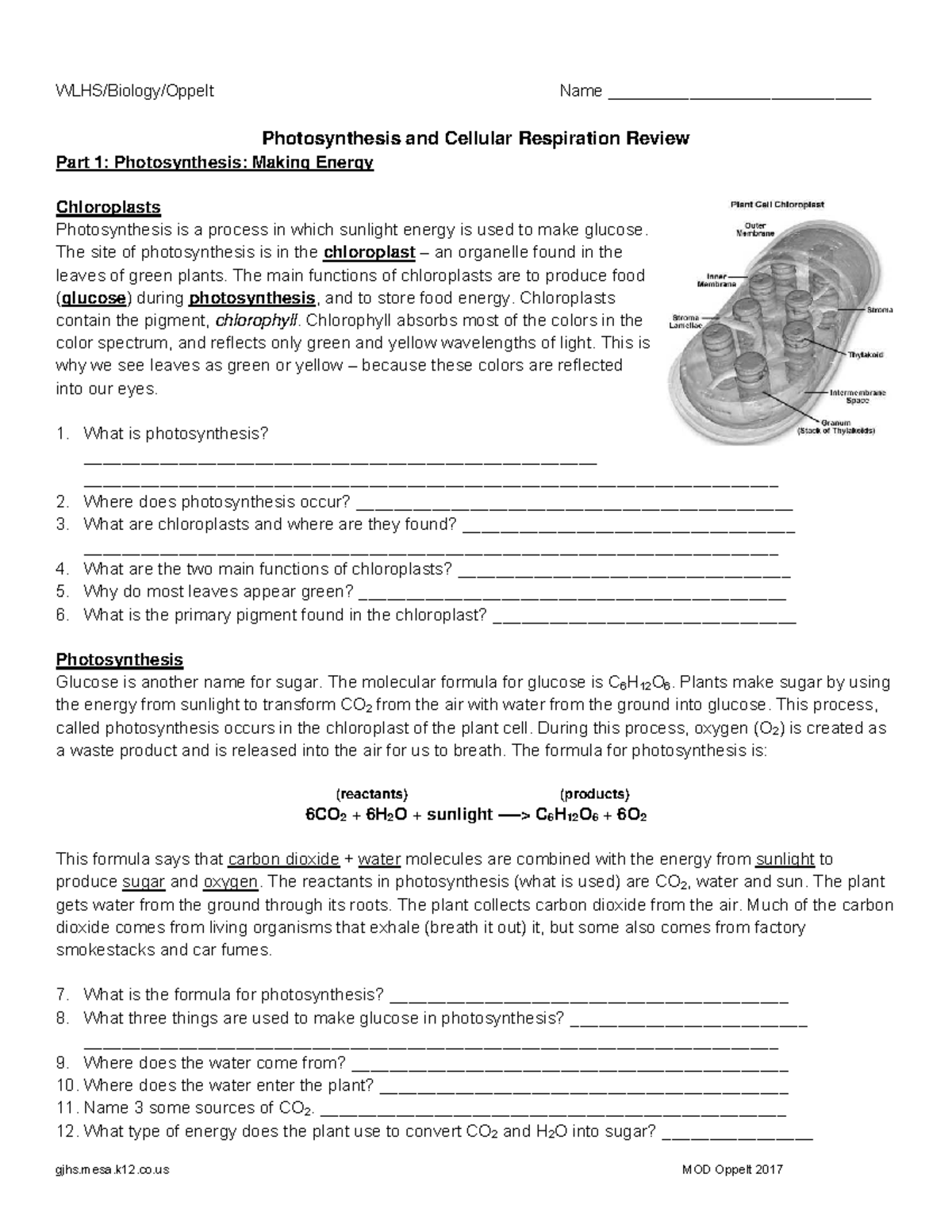 Photosynthesis & Cellular Respiration Review Part 1: Photosynthesis ...
