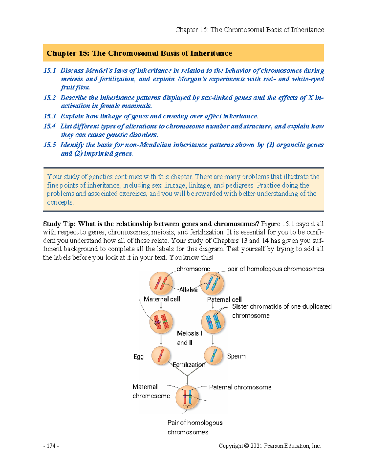 Genetics Study Guide: Ch. 15 - Chromosomal Basis of Inheritance - Studocu