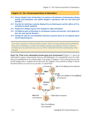 Kayla Dunbar - Ch. 14 Reading Guide - Chapter 14: Mendel and the Gene ...