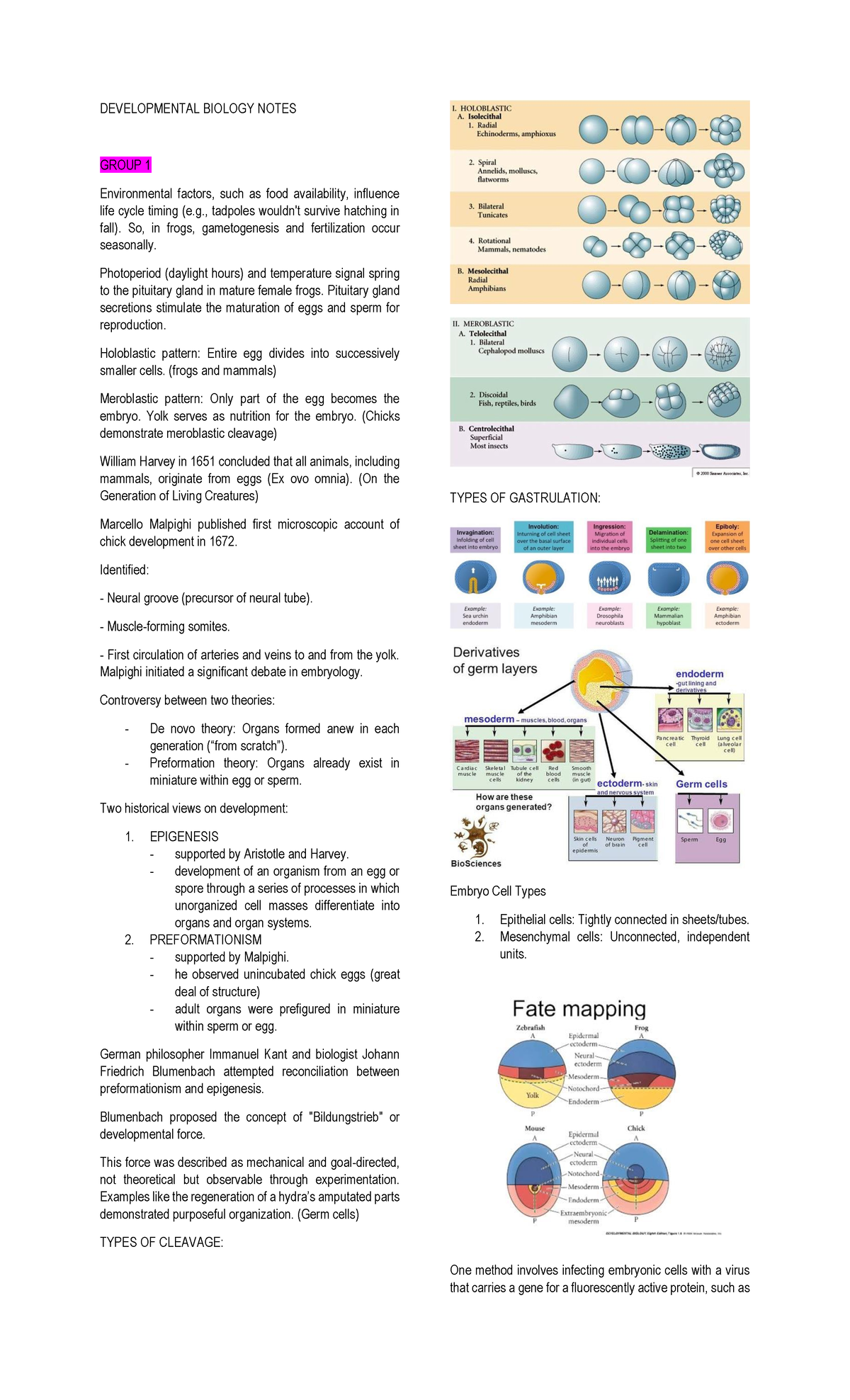 DEV BIO 101: Comprehensive Notes on Developmental Biology - Studocu