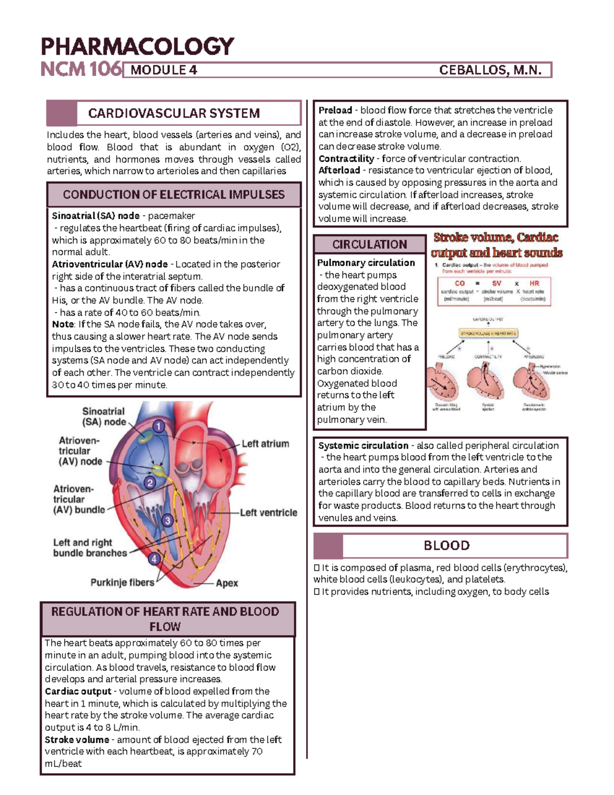 PHARMACOLOGY NCM 106 MODULE 4: Cardiovascular System Overview - Studocu