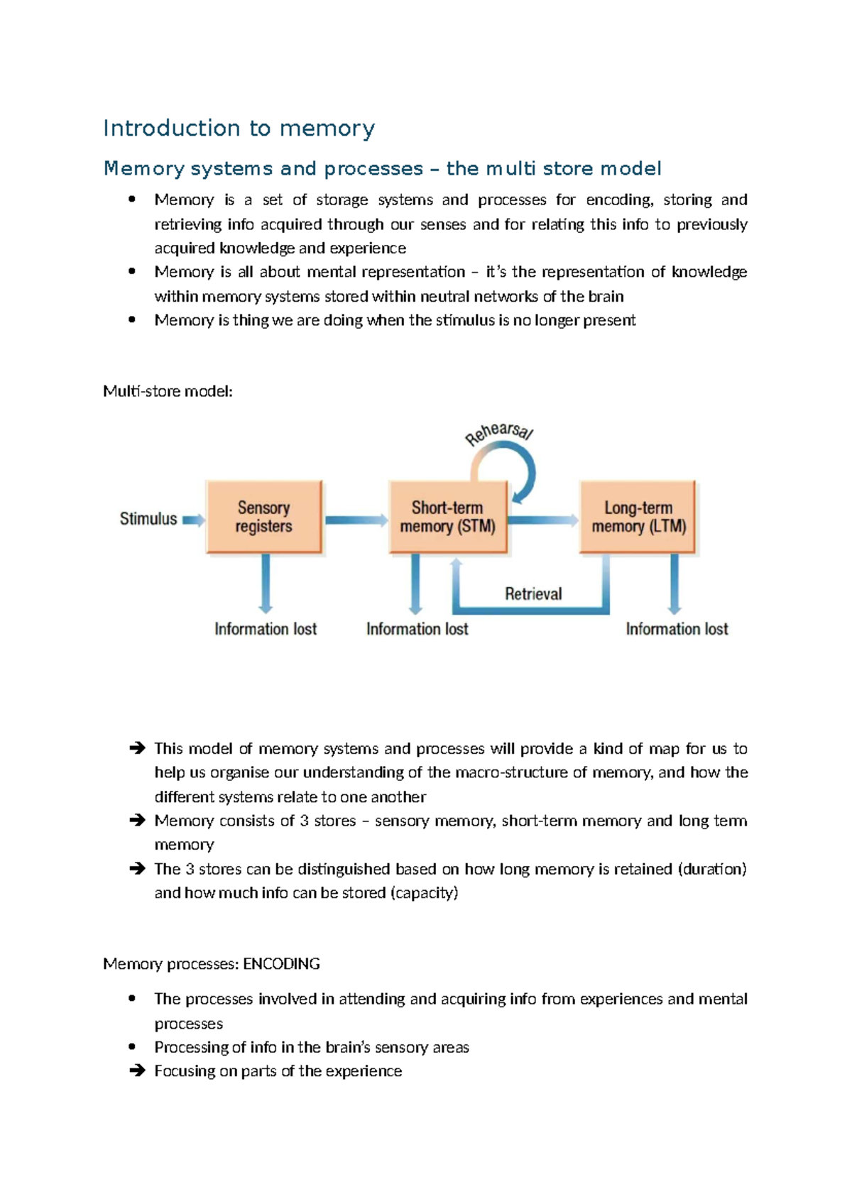 Introduction to Memory: Systems, Processes, and the Multi-Store Model ...