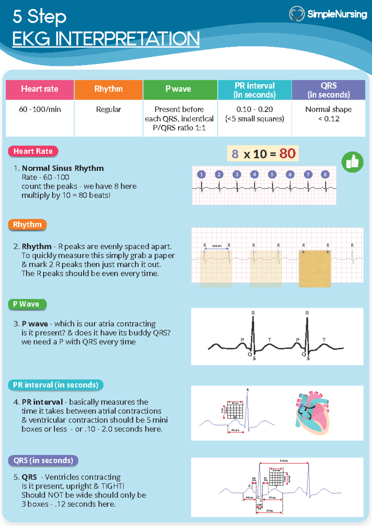 5 Step EKG Interpretation Guide for Heart Rate & Rhythm Analysis - Studocu