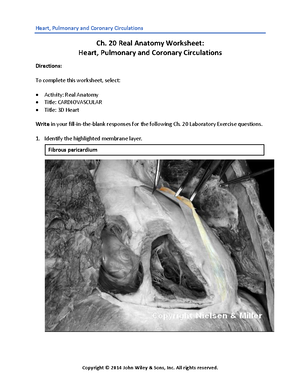 Bio291 v3 wk7 the embryology lab report new copy - Lab Report ...