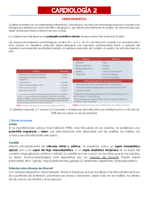 Anatomia DEL Corazon - Surco coronario o AV Surco interventricular ...