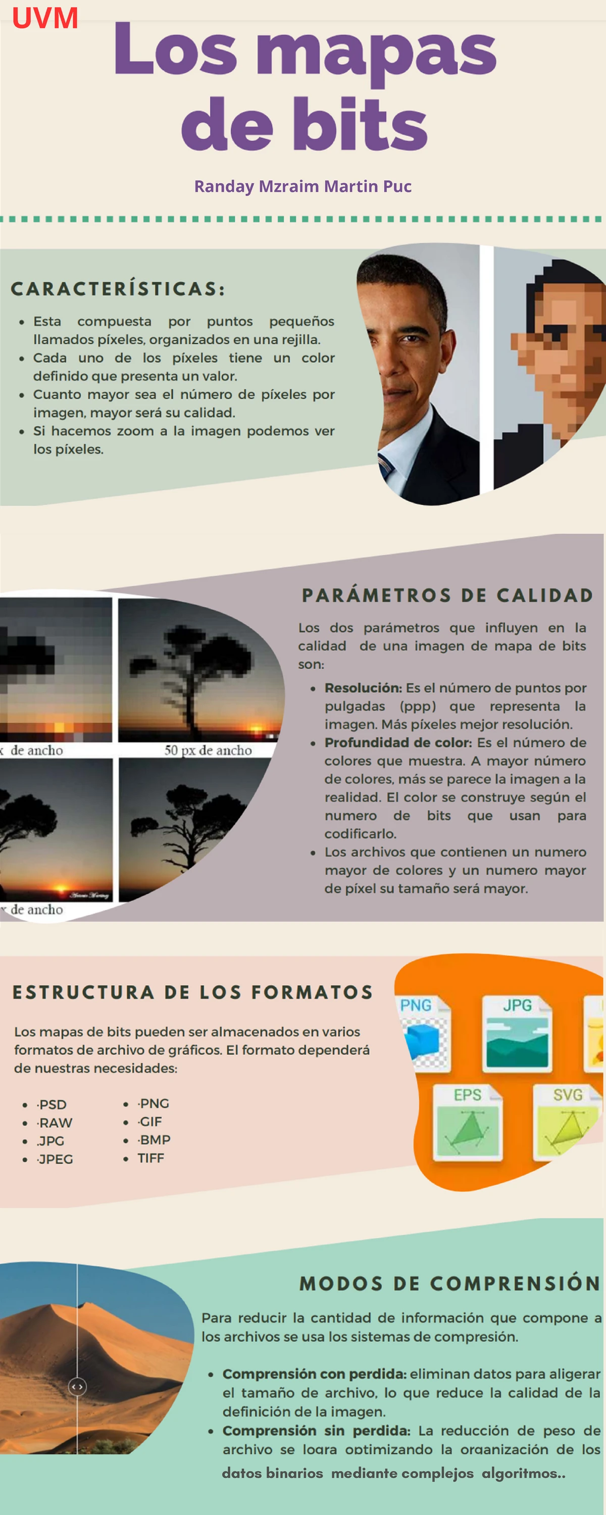 A9 RMMP - Estudio del Caso: Análisis de Rembrandt y su Obra - Studocu