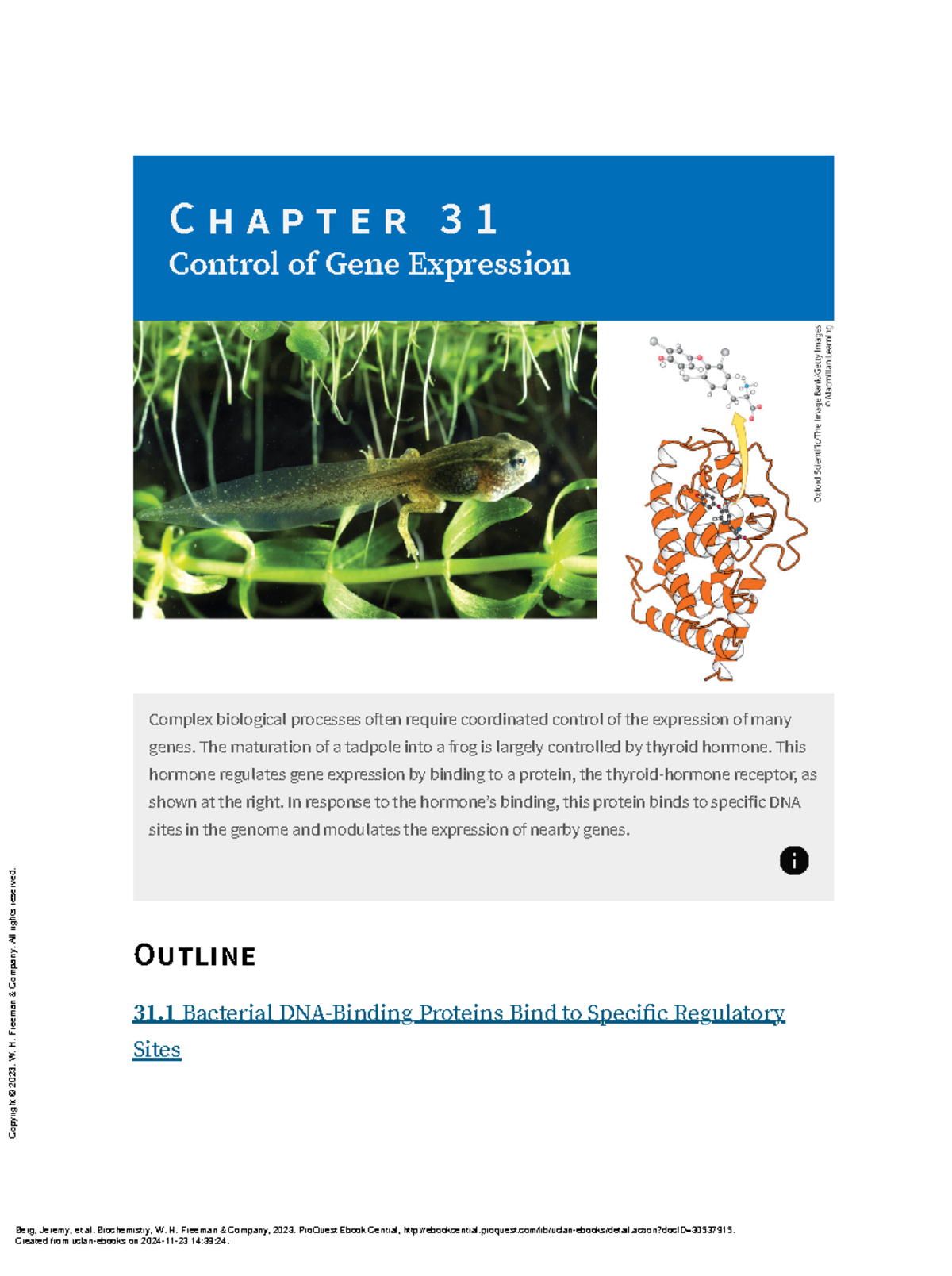 Biochemistry - (Chapter 31 Control of Gene Expression) - Complex biological processes oen ...