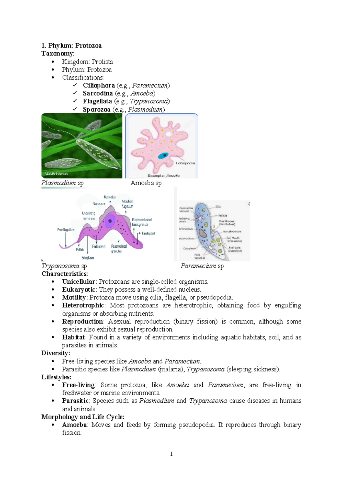 Invertebrata - Jupeb Biology Notes on Protozoa, Porifera, Cnidaria ...