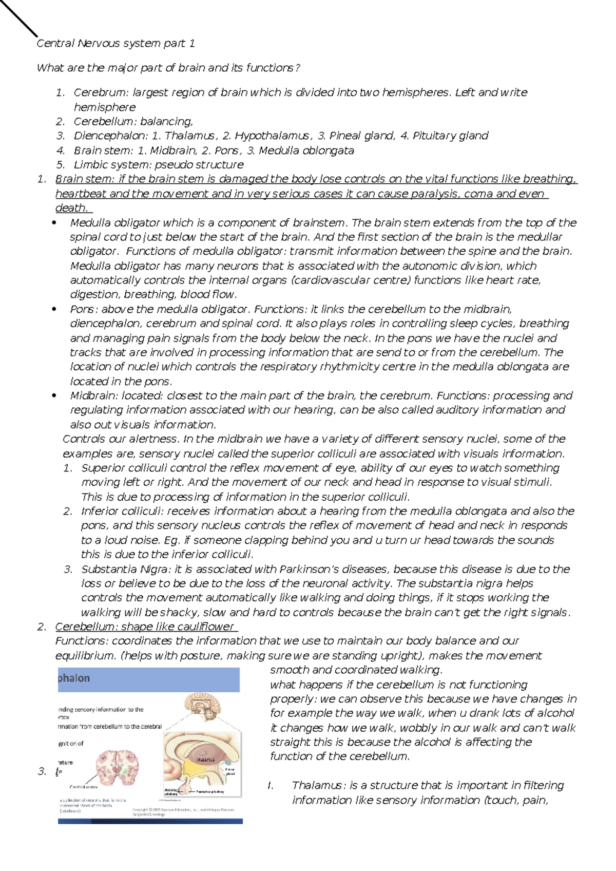 Human Physiology Notes 2025: Central Nervous System Overview - Studocu
