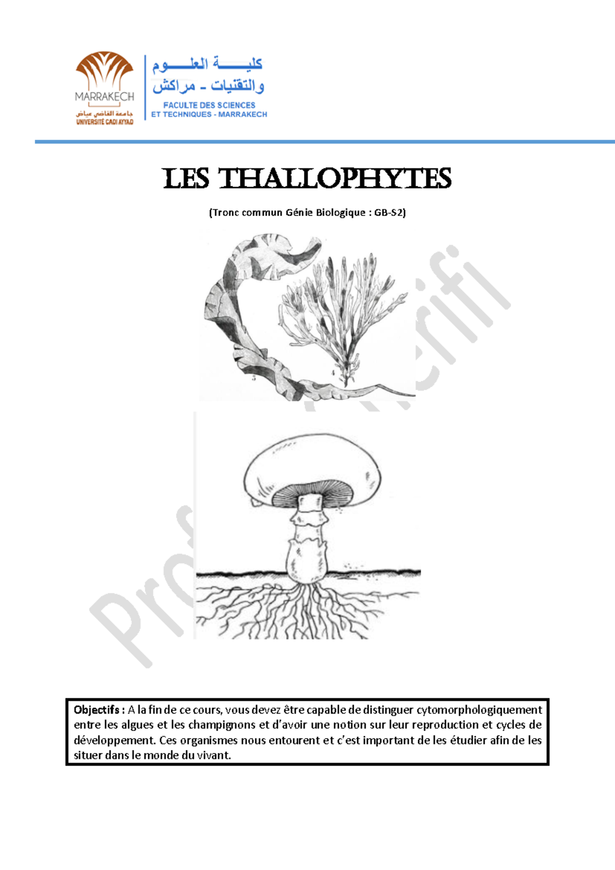 Cours Thallophytes - Module GB 2025 sur Cytomorphologie & Reproduction ...